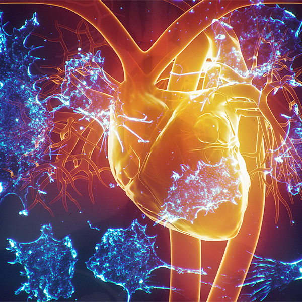 When It’s Not "Only" the Cancer or "Only" the Heart: The Intricate and ...