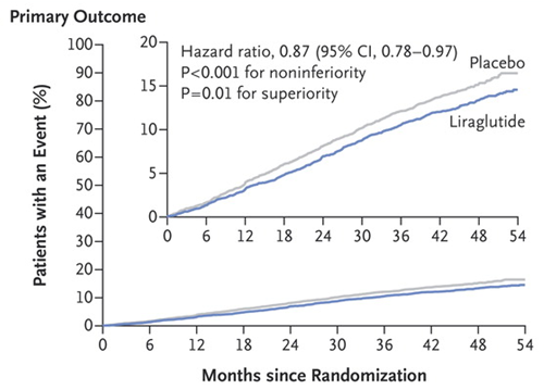 Choice of Antidiabetic Agents in Patients With SIHD and Diabetes ...