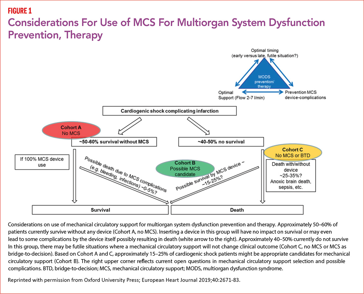 An Update on Acute Mechanical Circulatory Support in Cardiogenic Shock ...