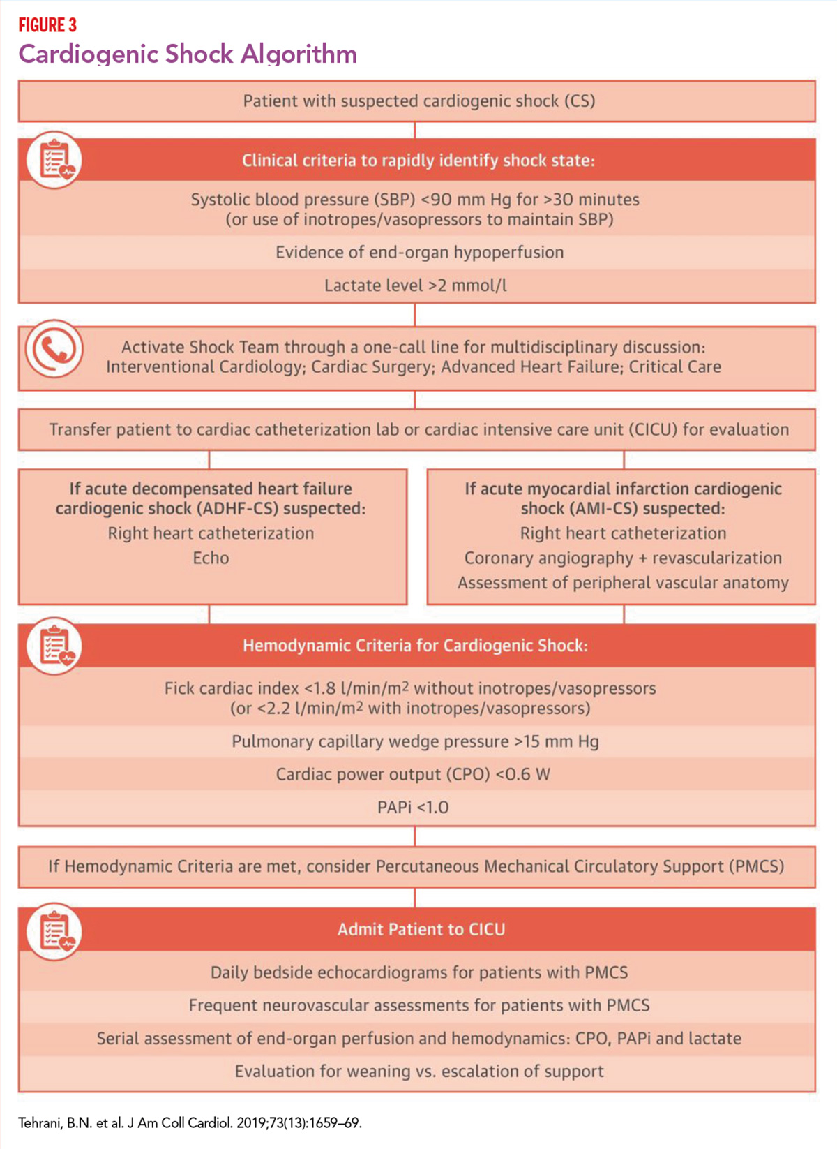 An Update on Acute Mechanical Circulatory Support in Cardiogenic Shock ...