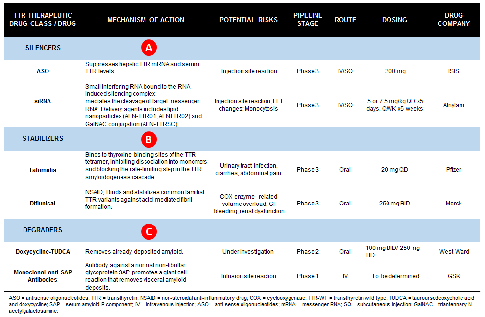 Emerging Therapies for Transthyretin Cardiac Amyloidosis Could Herald a ...