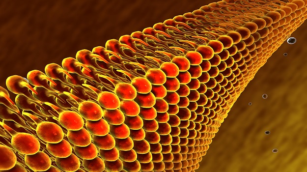 Dyslipidemia - American College of Cardiology