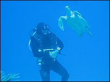 Divers and Coronary Disease - American College of Cardiology